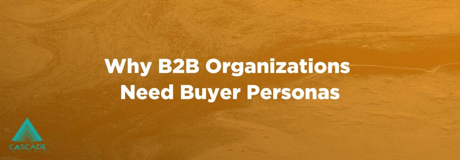 Video: Why B2B Organizations Need Buyer Personas